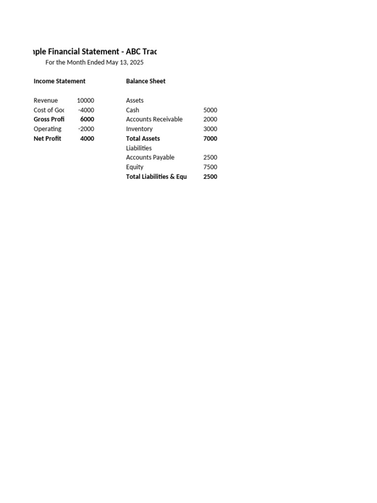 Sample Financial Statements | PDF