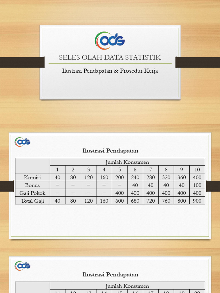 Panduan Seles Olah Data Statistik | PDF