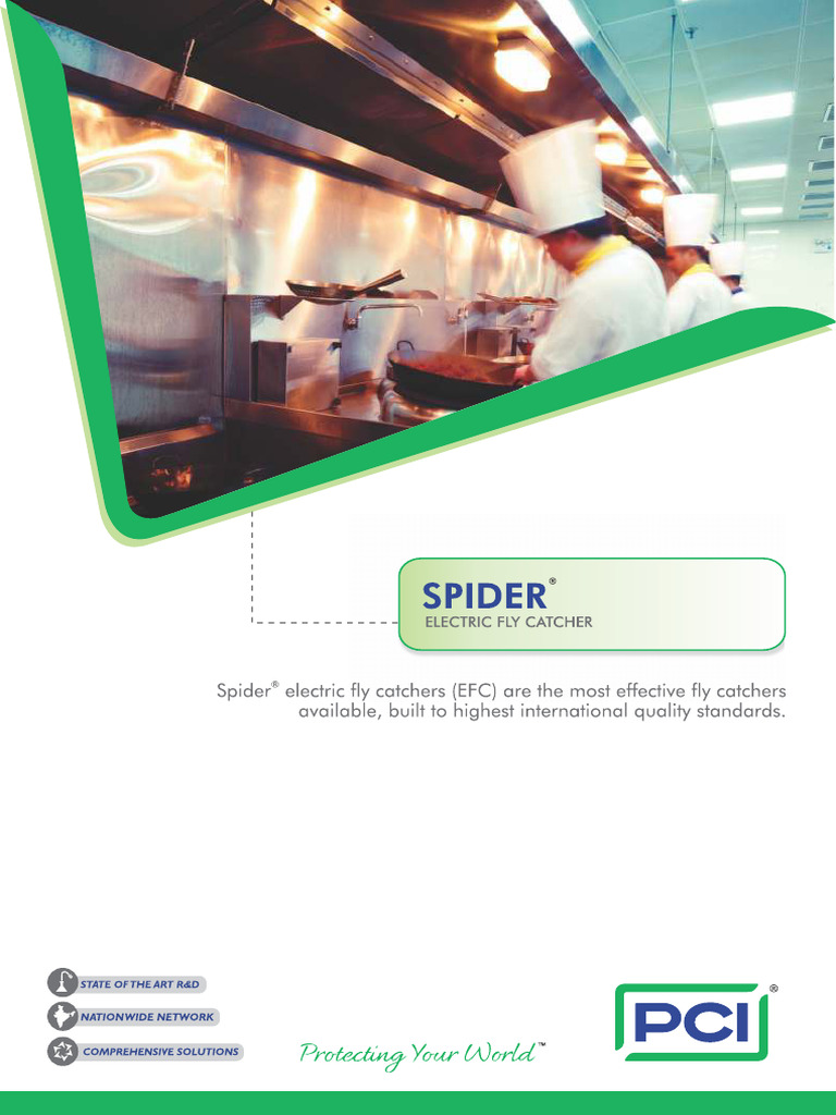 Spider | PDF