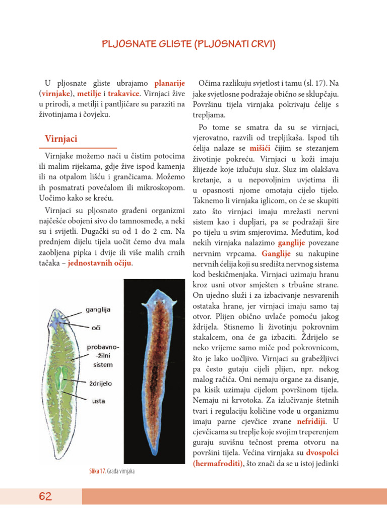 Biologija 7 novi-pages | PDF