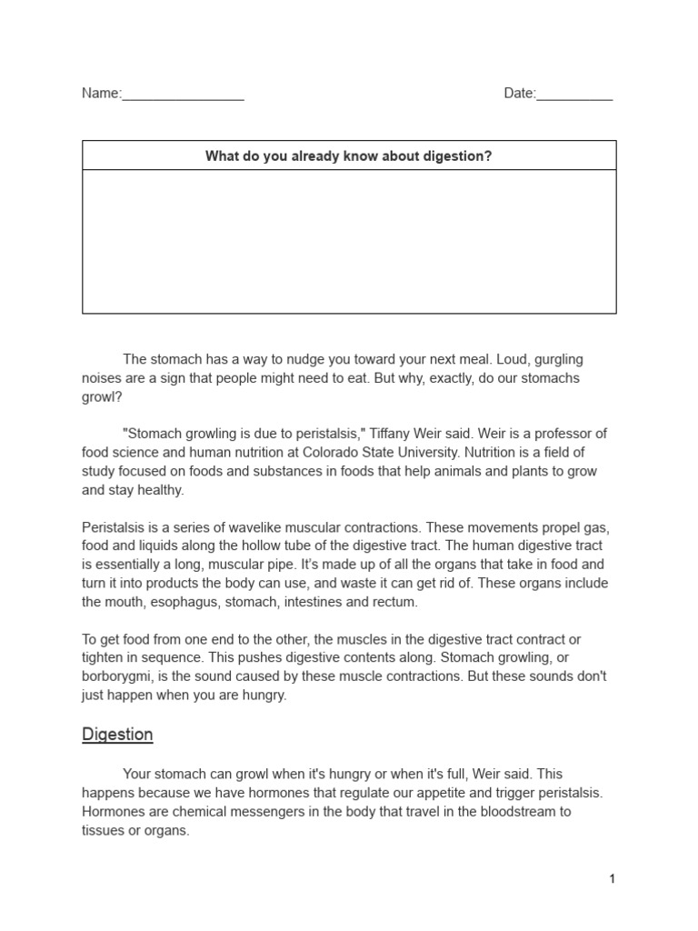 Why Does Our Stomach Growl Newsela Article | PDF | Stomach ...