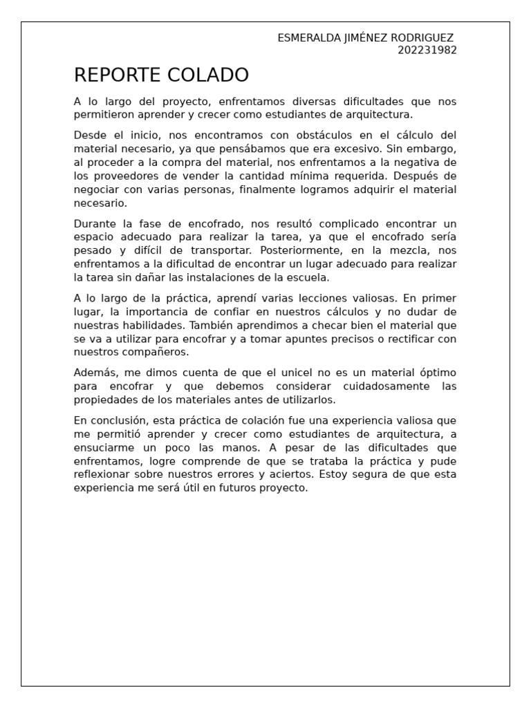 Reporte Colado Individual | PDF