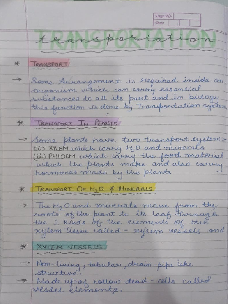 Transportation and Circulatory System | PDF | Animal Physiology | Histology