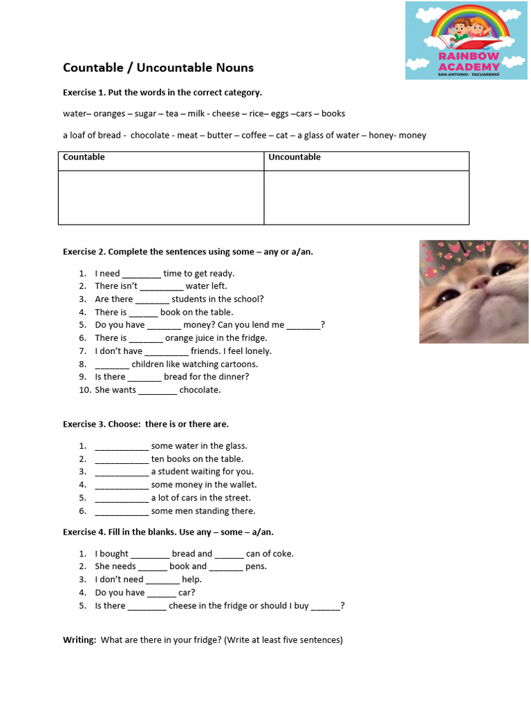 Countable and Uncountable Nouns Exercises | PDF