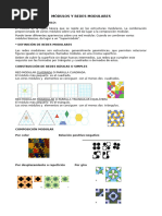 Redes Modulares: Definición y Tipos | PDF