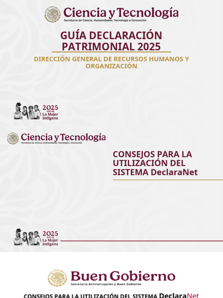 Guía para Declaración Patrimonial 2025 | PDF | Judicaturas | Federación
