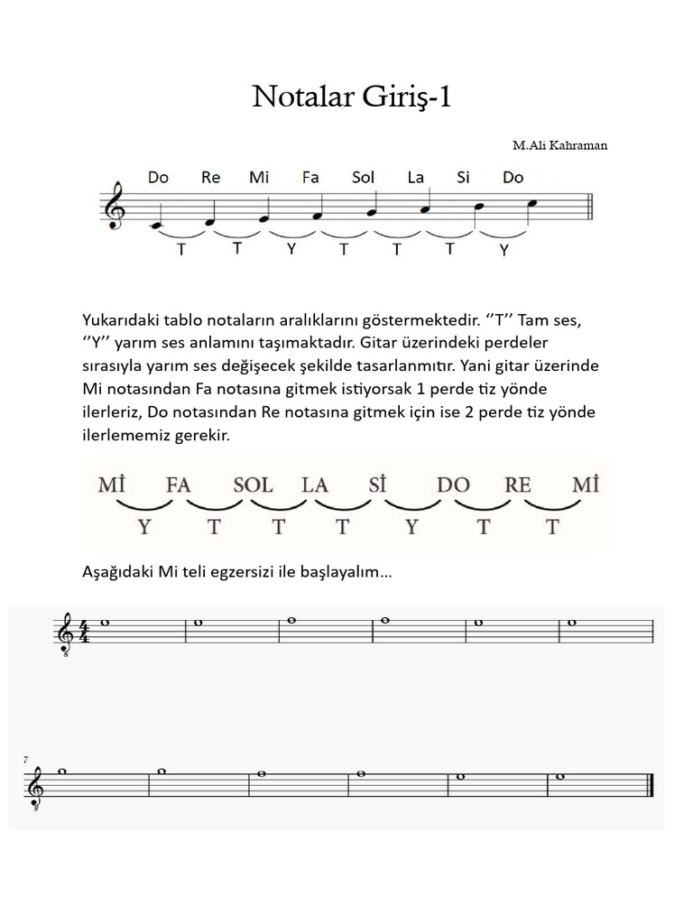 Notalar Giriş-1 | PDF