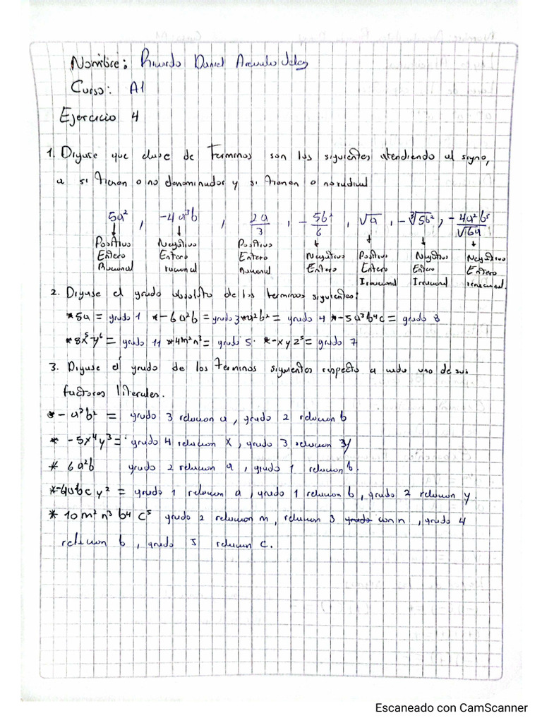 Algebra 4,6,10,12 | PDF