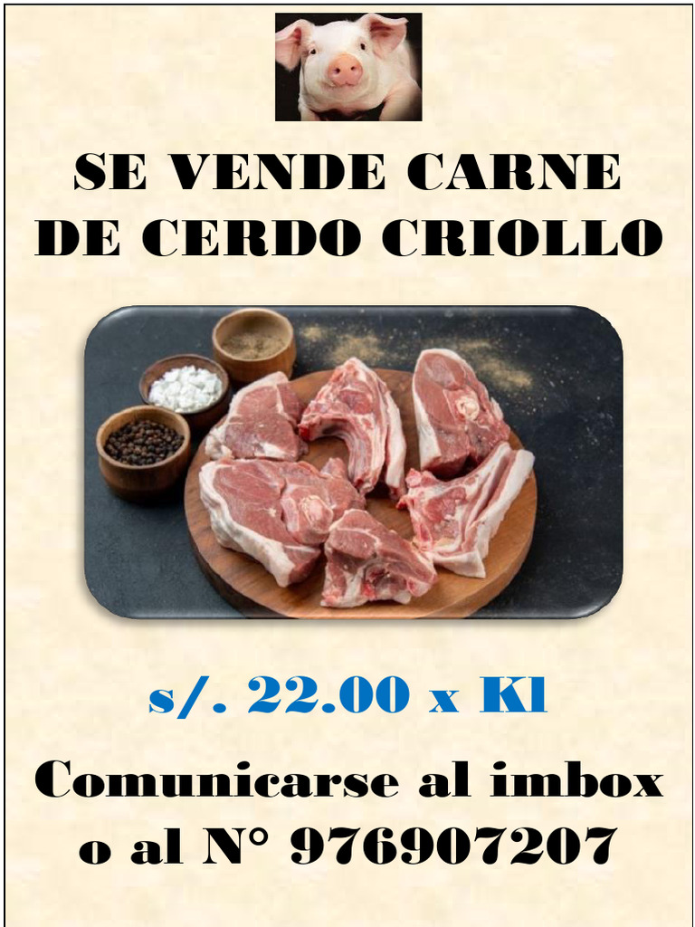 Carne Cerdo | PDF