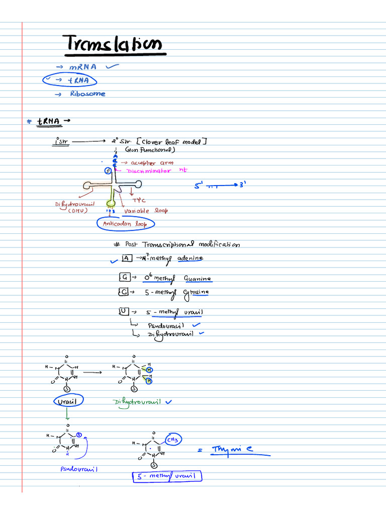 MOLECULAR BIOLOGY L11 Prokaryotic Translation | PDF