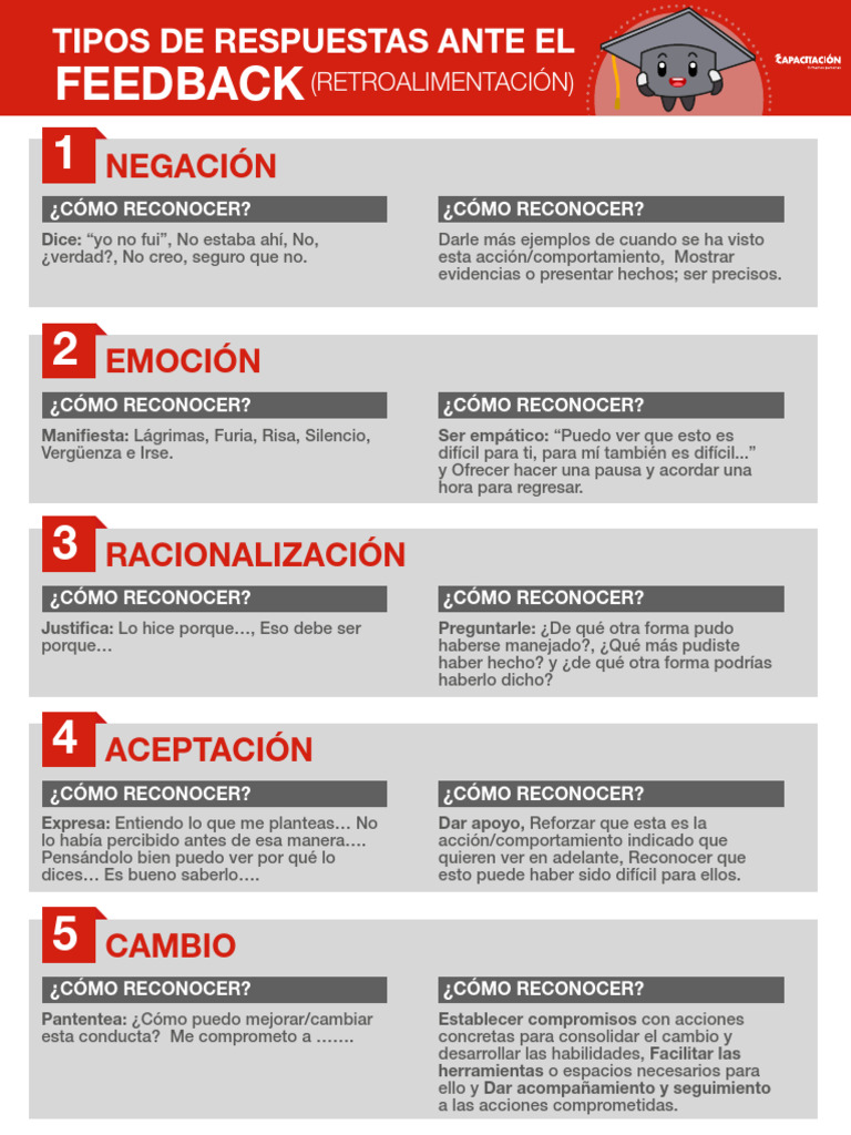 Tipos de Feedback | PDF