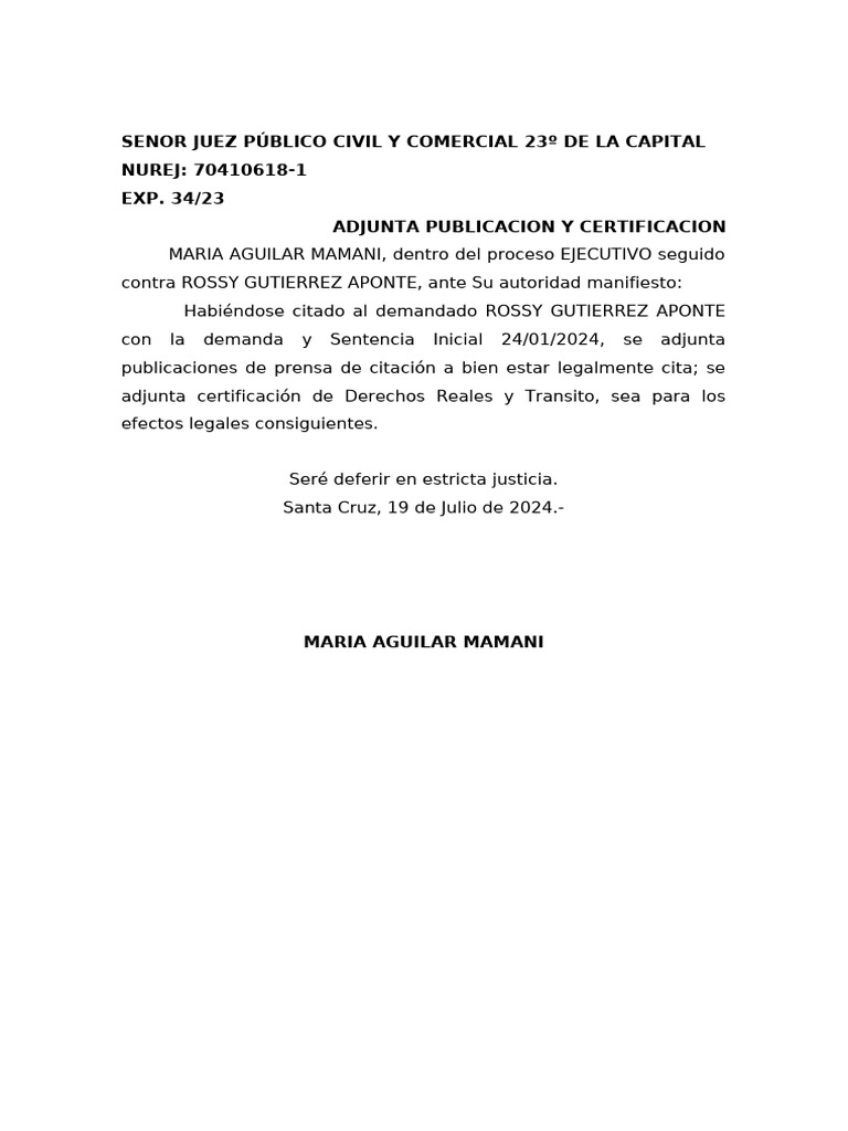 Adjunta Publicacion | PDF