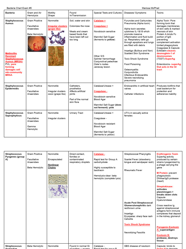 Marissa bacteria chart | PDF | Streptococcus | Bacteria