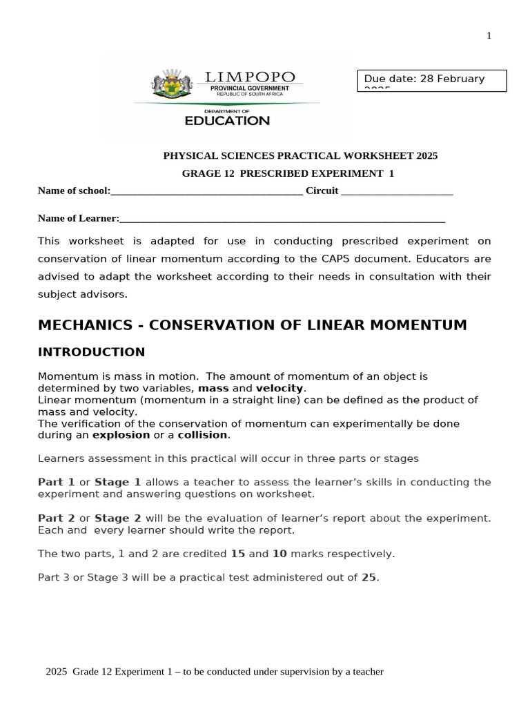 Grade 12 Momentum Practical Worksheet | PDF | Momentum | Experiment