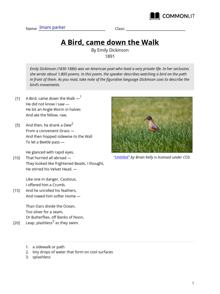 A Bird, Came Down The Walk | PDF | Nature
