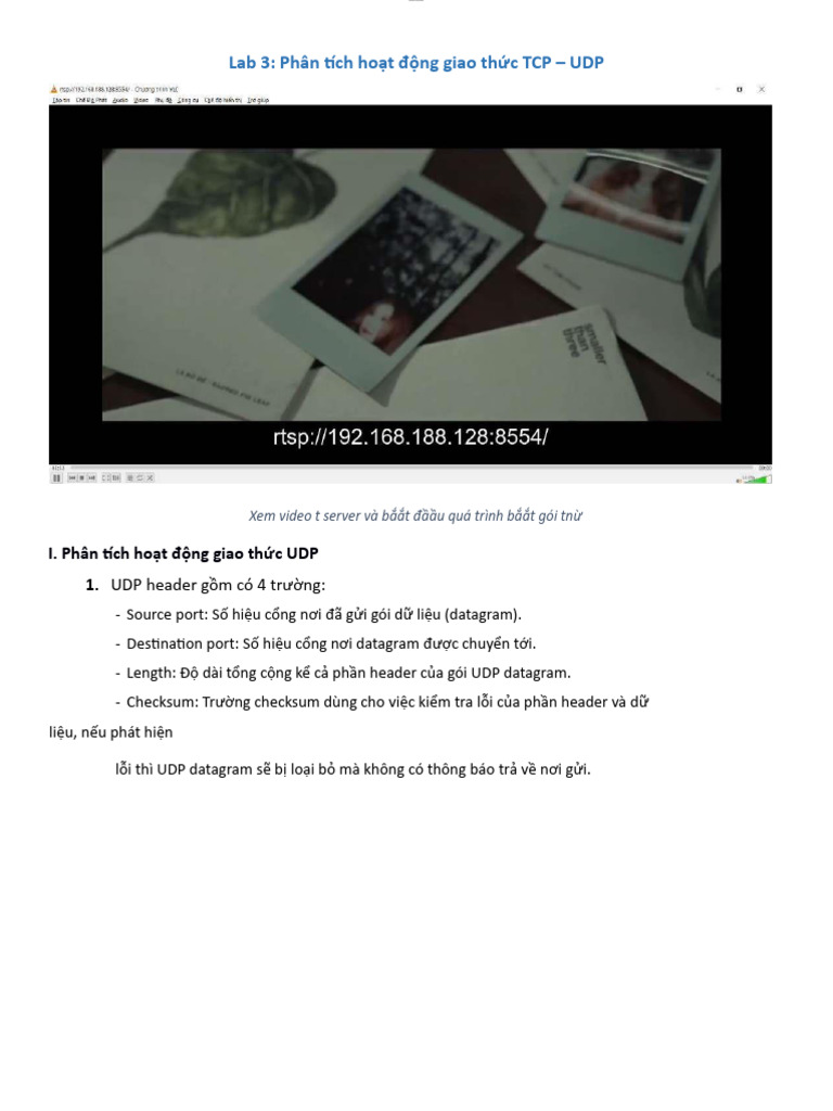 Bao Cao Thuc Hanh Lab 3 Nhap Mon Mang May Tinh Truong Dai Hoc CNTT Tha 70613 | PDF