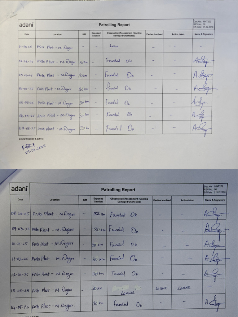 Patrolling Report - MAR 2025 | PDF