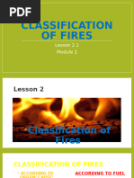 Fire Fuel Classification Overview | PDF