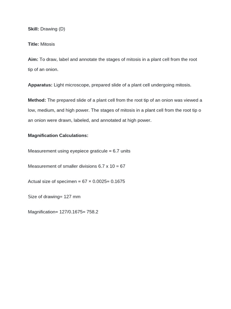 Mitosis Drawing | PDF