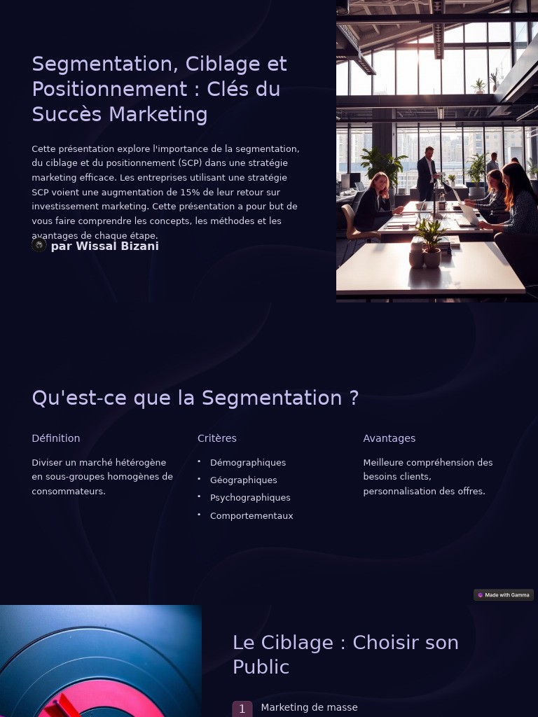 Segmentation Ciblage Et Positionnement Cles Du Succes Marketing | PDF