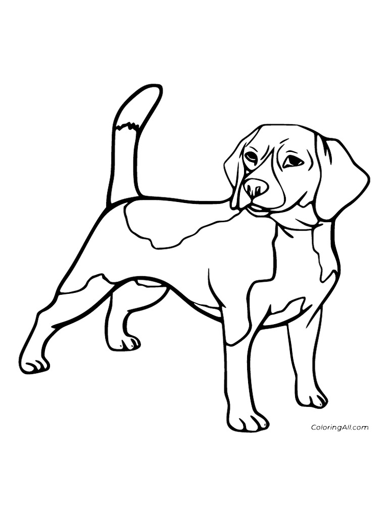 Realistic Beagle Coloring Page - ColoringAll | PDF