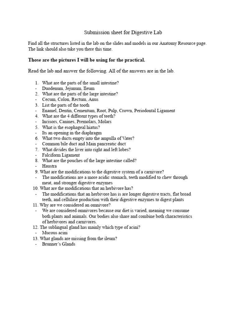 Submission Sheet For Digestive Lab | PDF