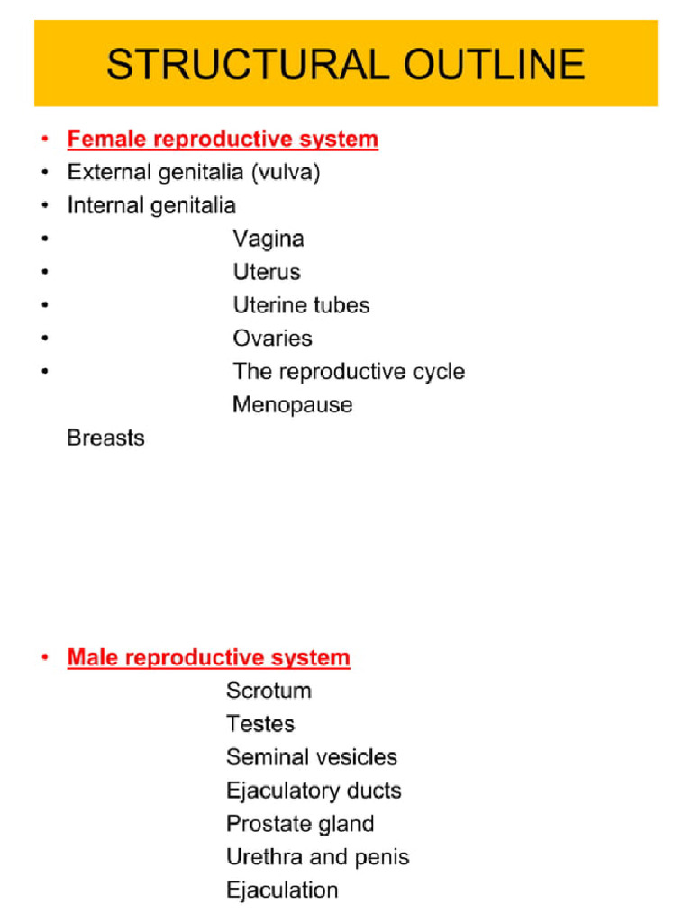 10 Reproductive System | PDF