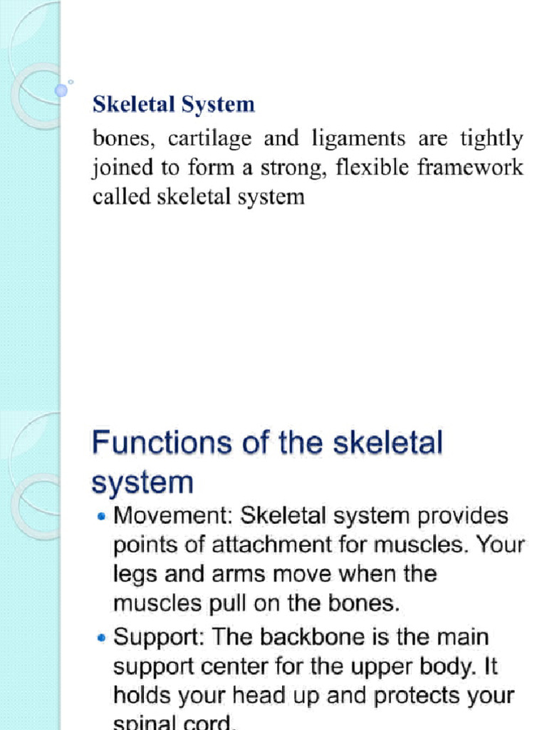 13 Skeleton System | PDF