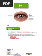 Sheep Eye Dissection Lab Guide | PDF | Eye | Facial Features