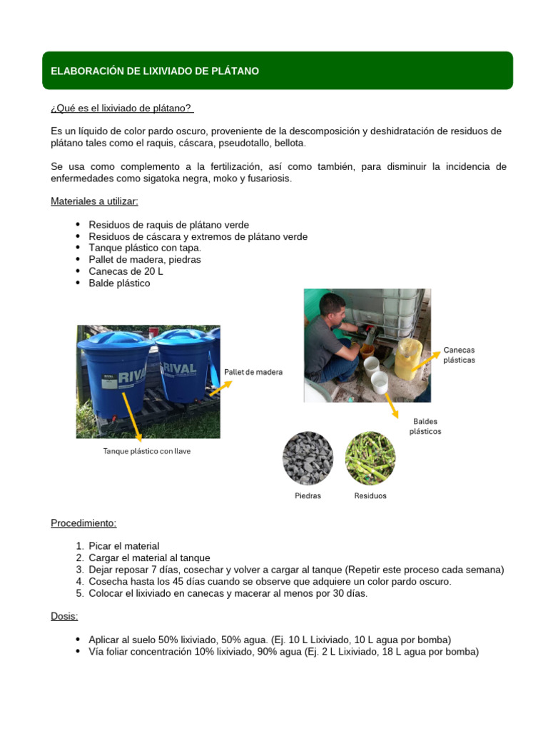Elaboración de Lixiviado de Plátano | PDF