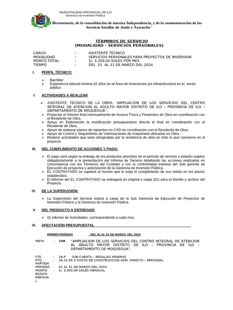 TDR Asistente Tecnico 2024 | PDF