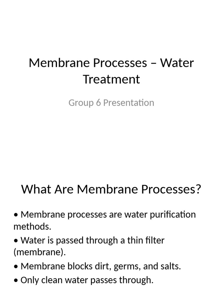 Membrane_Processes_Group6_Presentation | PDF | Membrane | Separation Processes