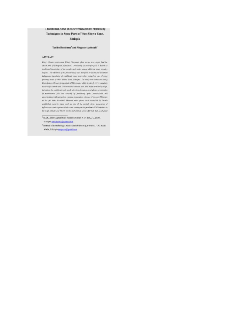 Enset Processing | PDF