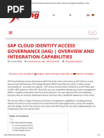 SAP IAG Bridge Integration Guide | PDF | Cloud Computing | Access Control