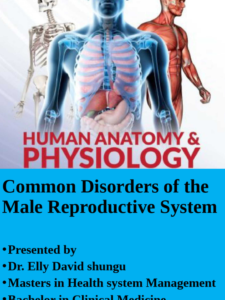 Common Disorders of The Male Reproductive System | PDF | Erectile ...