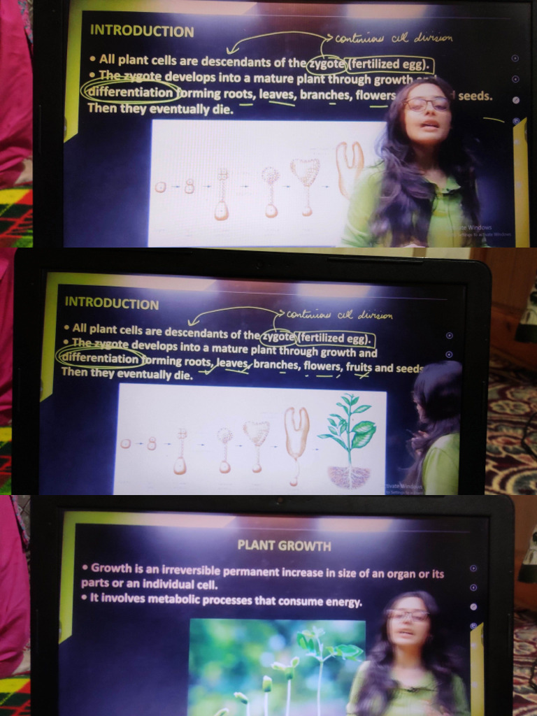 Plant Growth and Development | PDF