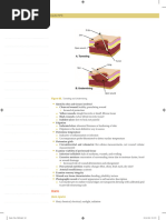 Bank Certificate Sample | PDF