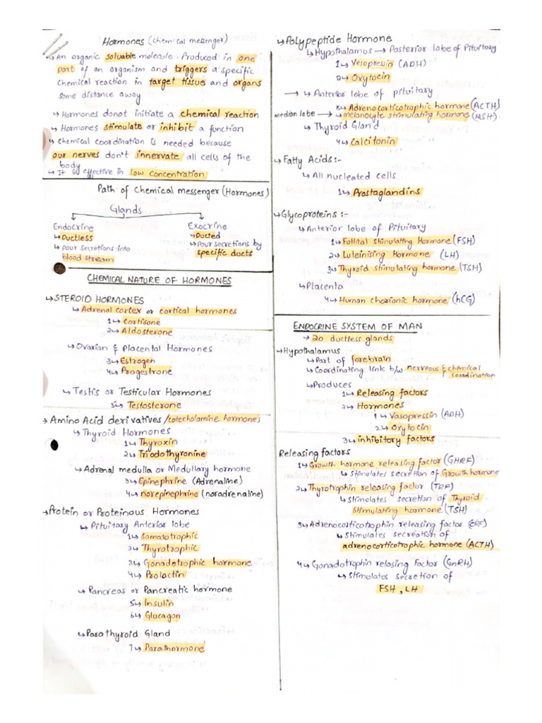 Hormones With Worksheet | PDF