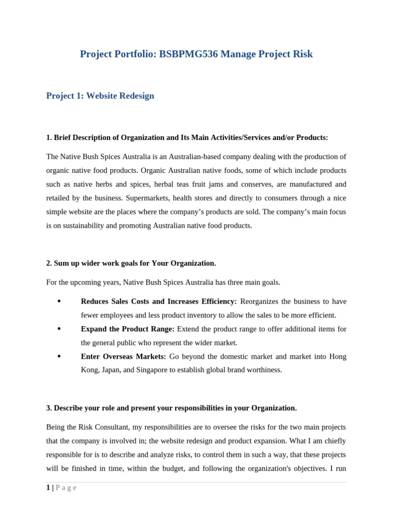Project Portfolio BSBPMG536 | PDF | Risk | Risk Management