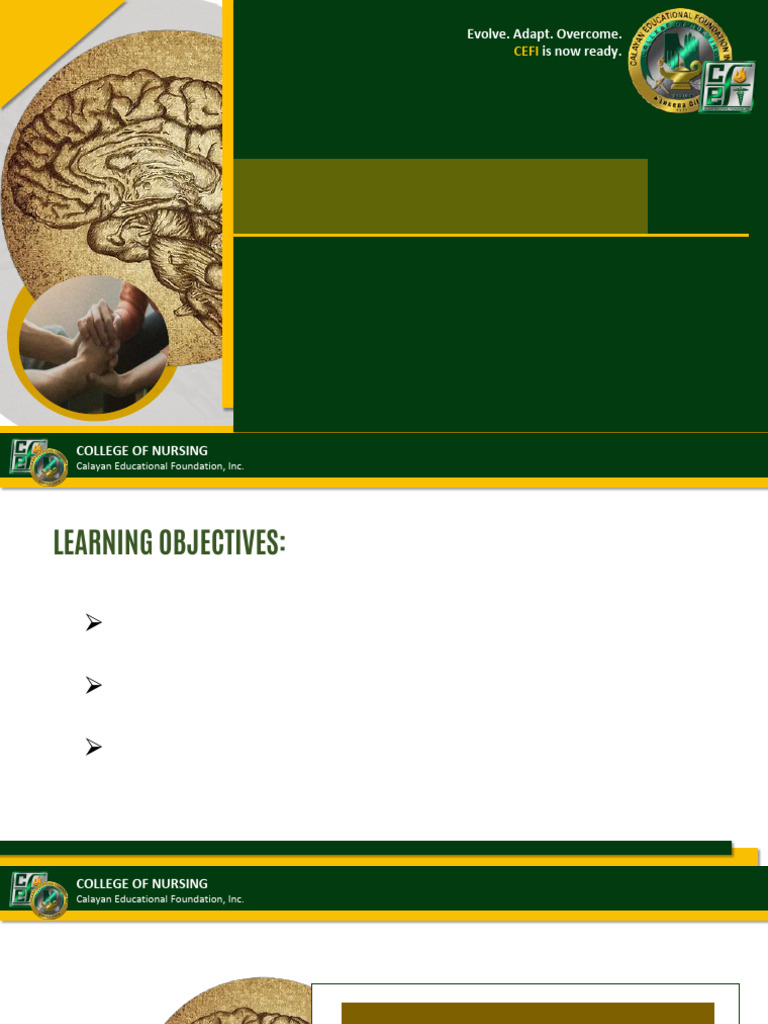 Neurobiological Theories in Nursing | PDF | Central Nervous System | Brain