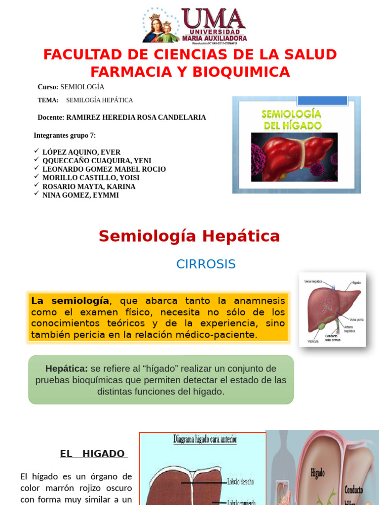 Semiología Cirrosis Hepatica n2 | PDF | Cirrosis | Hígado