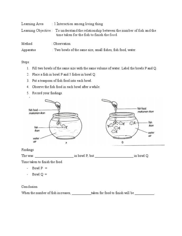 Fish Feeding Time Observation Experiment | PDF