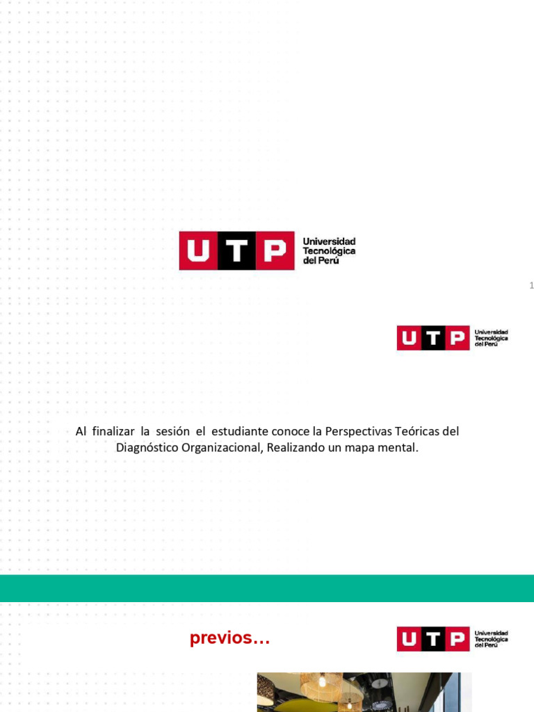 S01 S1 El Diagnóstico Organizacional Perspectiva Teórica Del