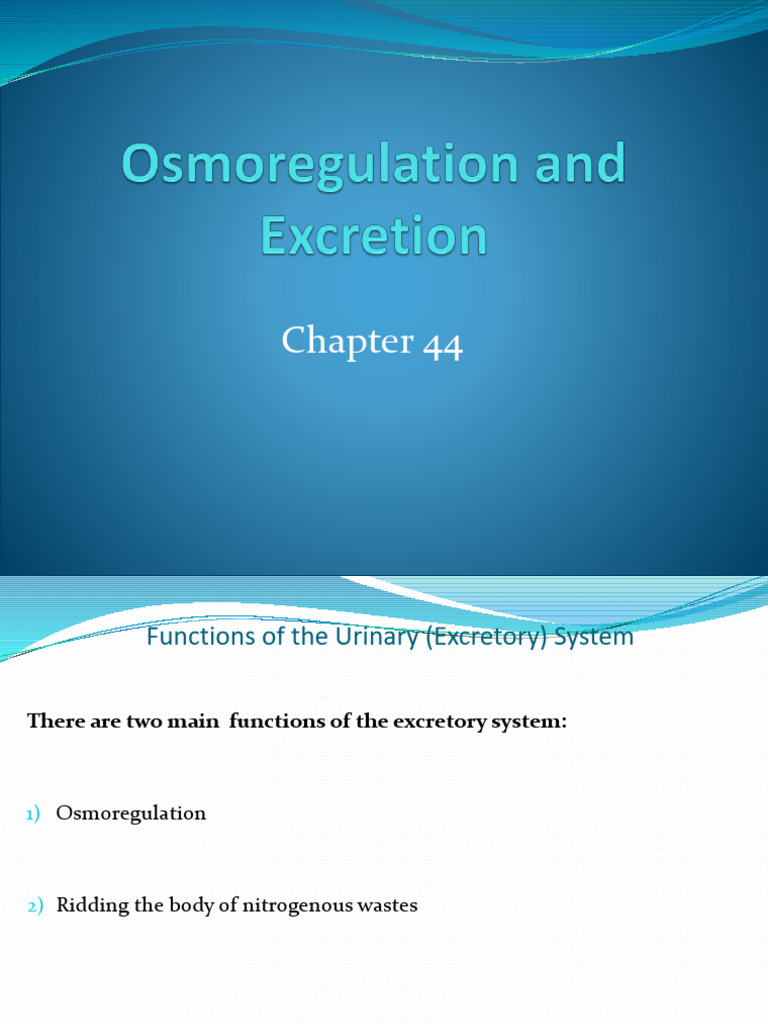 12 Osmoregulation and Excretion CH 44 | PDF | Kidney