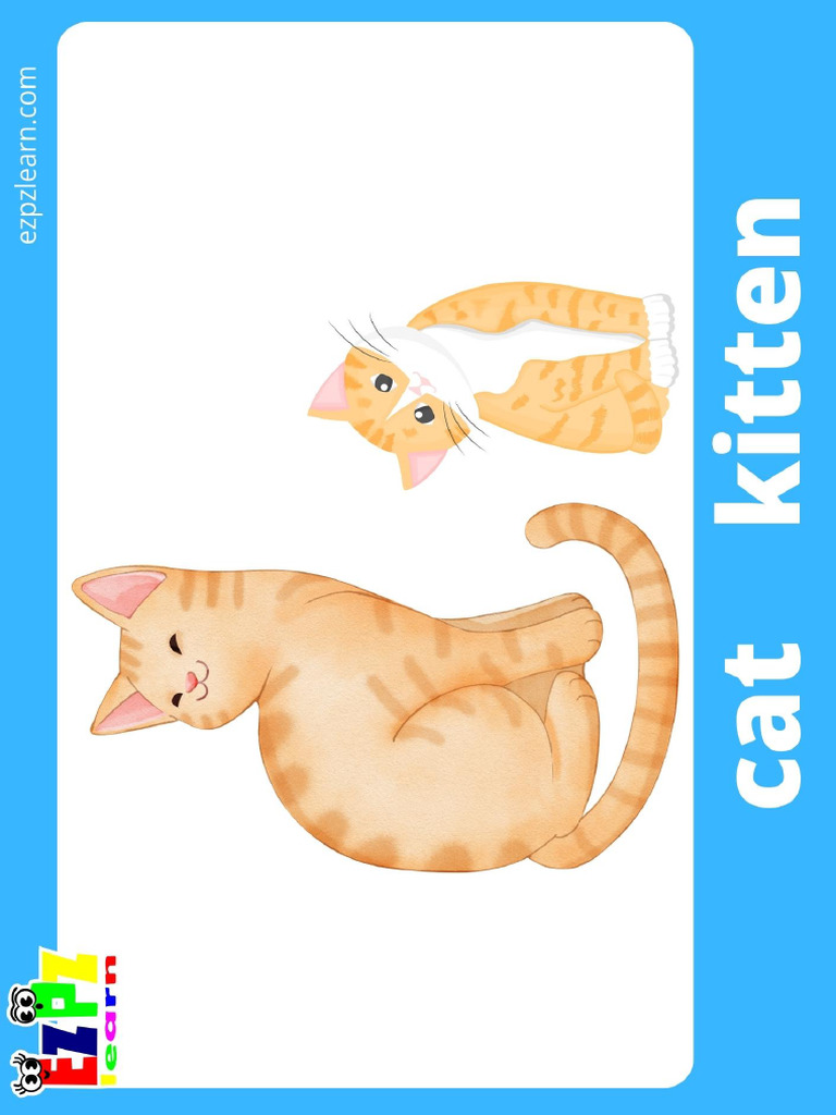 Animals and Their Young Flashcards For Kindergarten and English ...