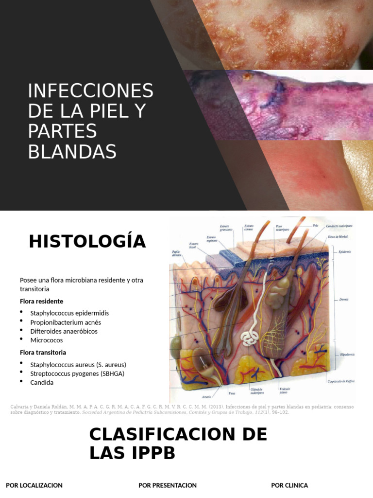 Infecciones de La Piel y Partes Blandas | PDF | Medicina CLINICA ...