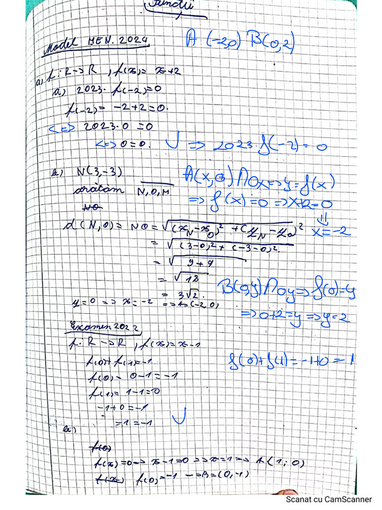 Functii Andrei | PDF