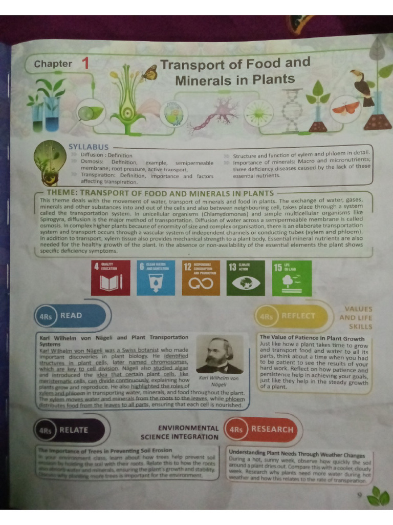 Class8 Bio Book | PDF