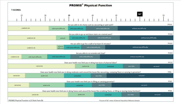 PROMIS_Physical_Function_8b | PDF