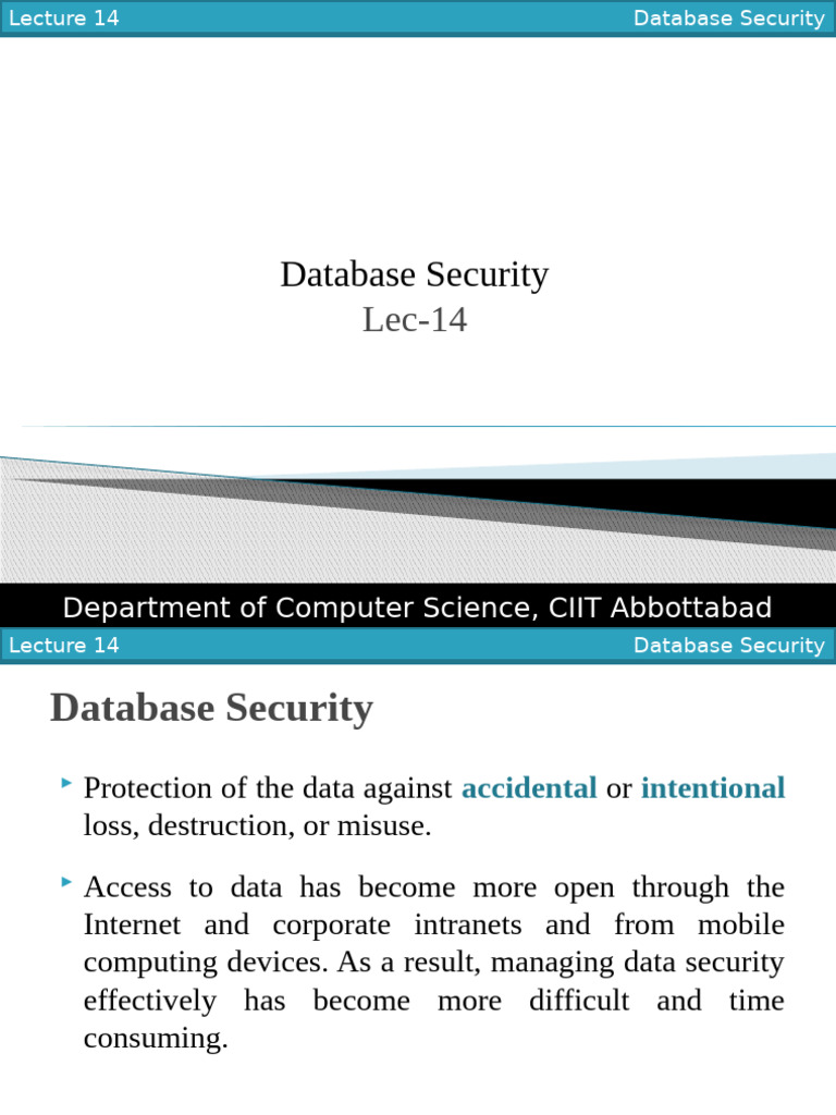 Lect 14 Database Security | PDF | Databases | Security